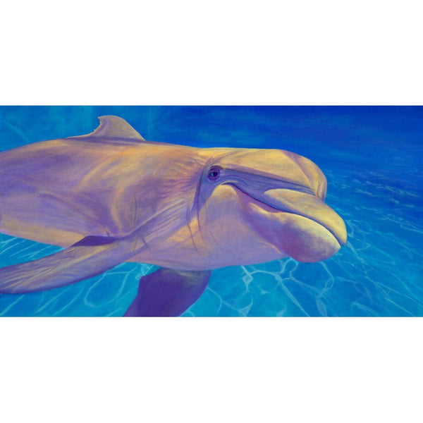 Wet Willy – Key West Gallery