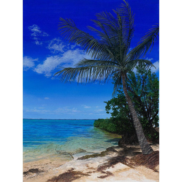 Some Beach Somewhere – Key West Gallery