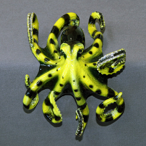 Octavio Octopus – Key West Gallery